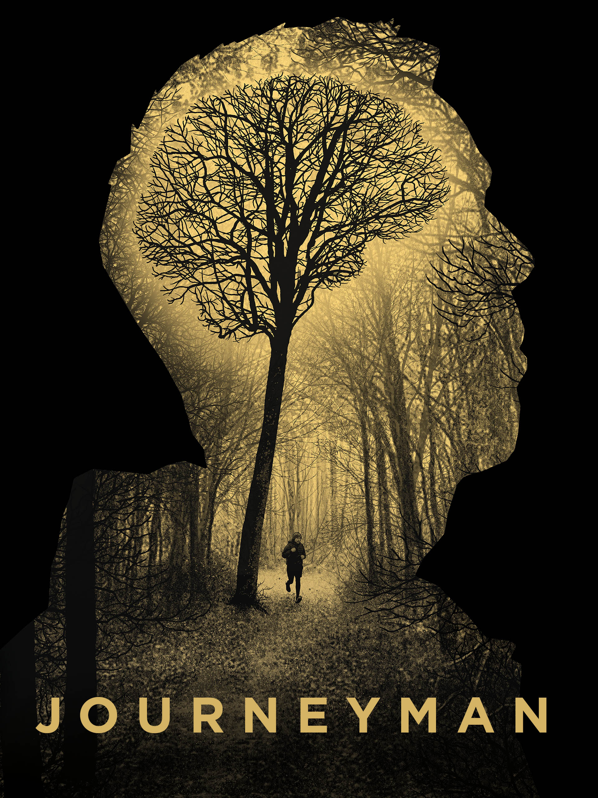 Prime Video: Journeyman