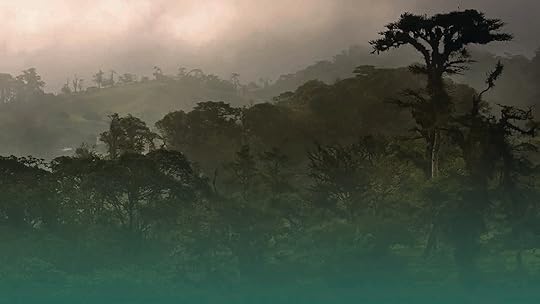 Watch Wild Life | Prime Video