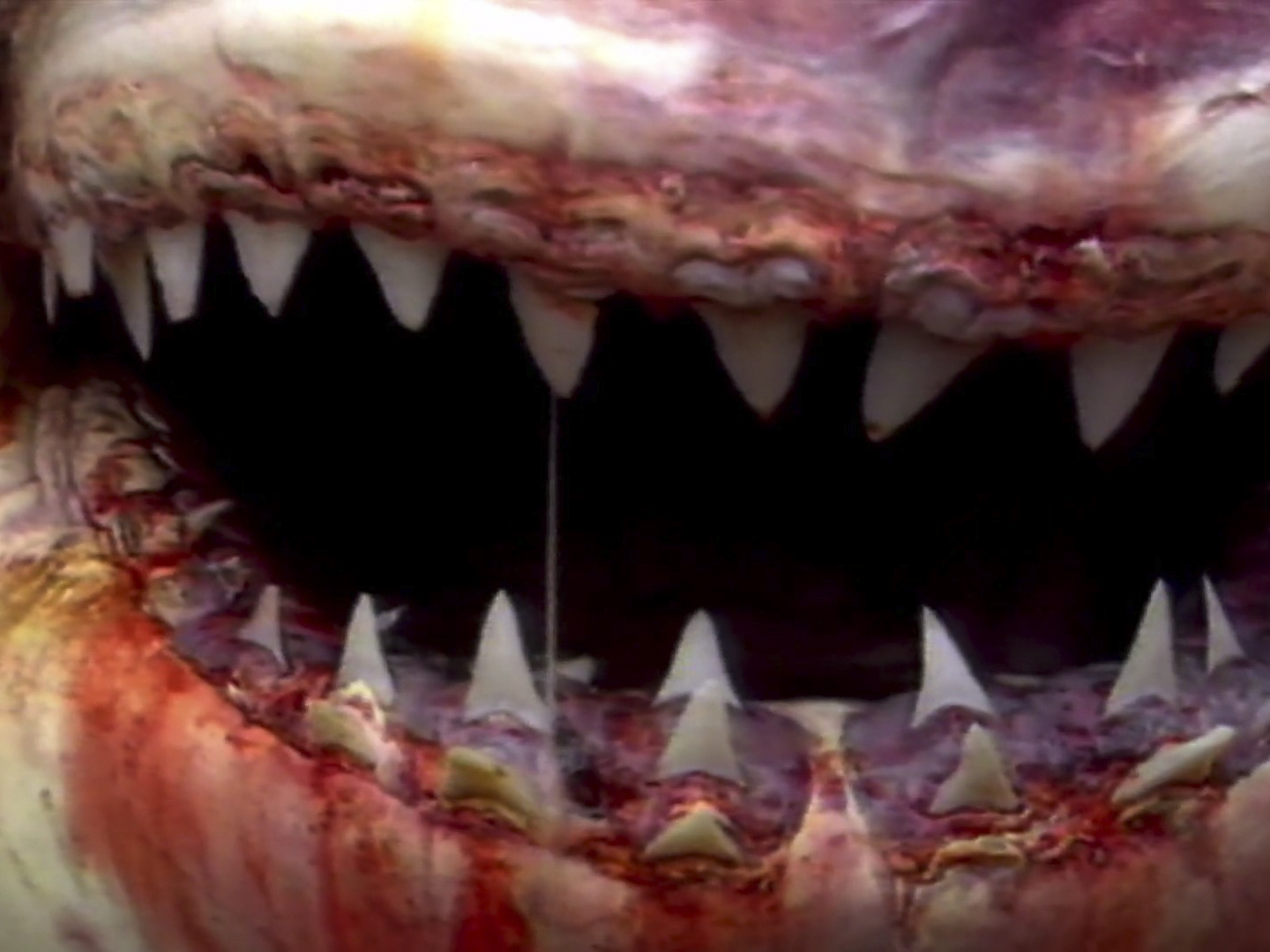 Prime Video: Shark Week - Season 2012