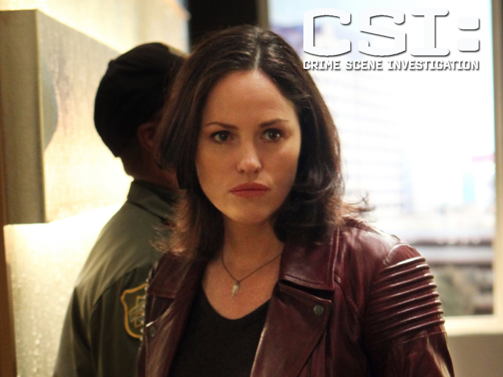 Prime Video: CSI: Crime Scene Investigation, Season 13