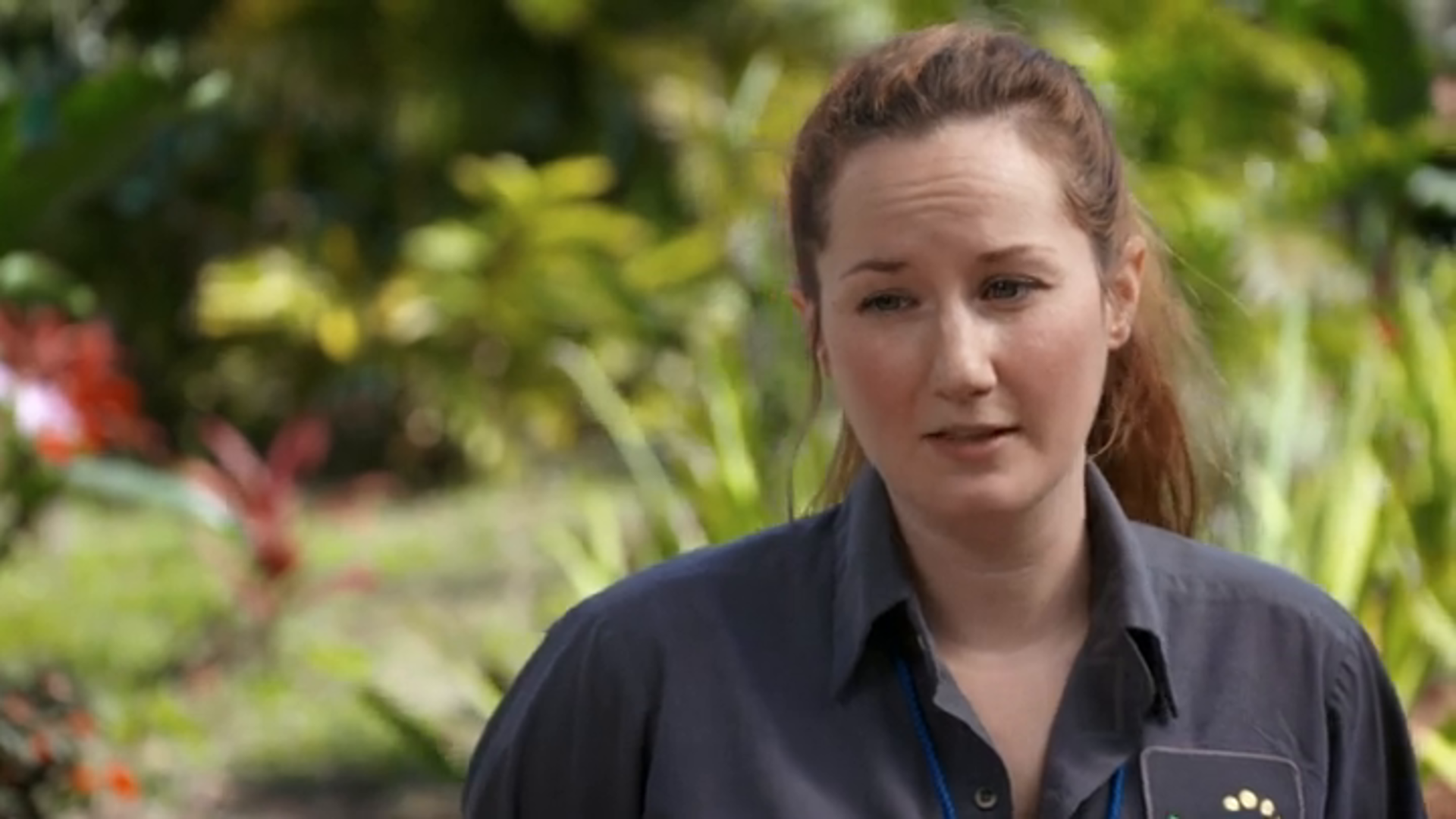 Prime Video: Secrets of the Zoo: Tampa - Season 1