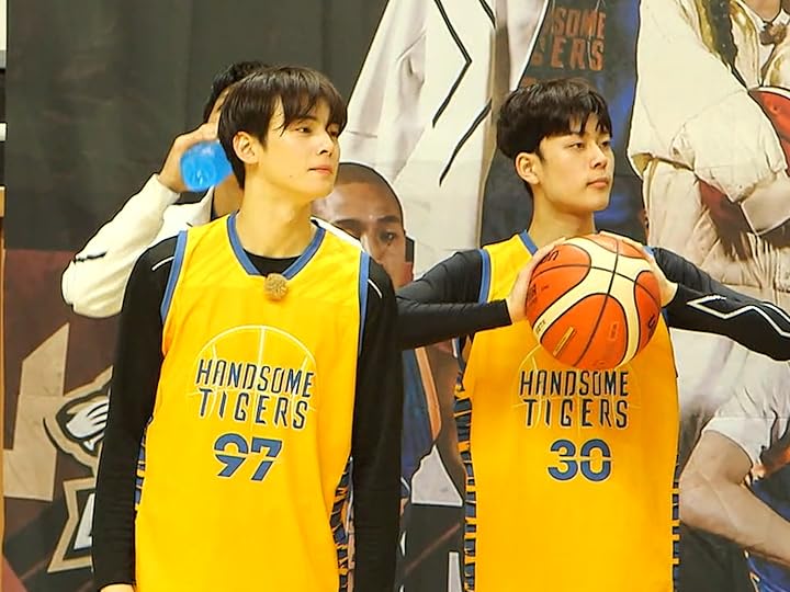 Prime Video: Handsome Tigers