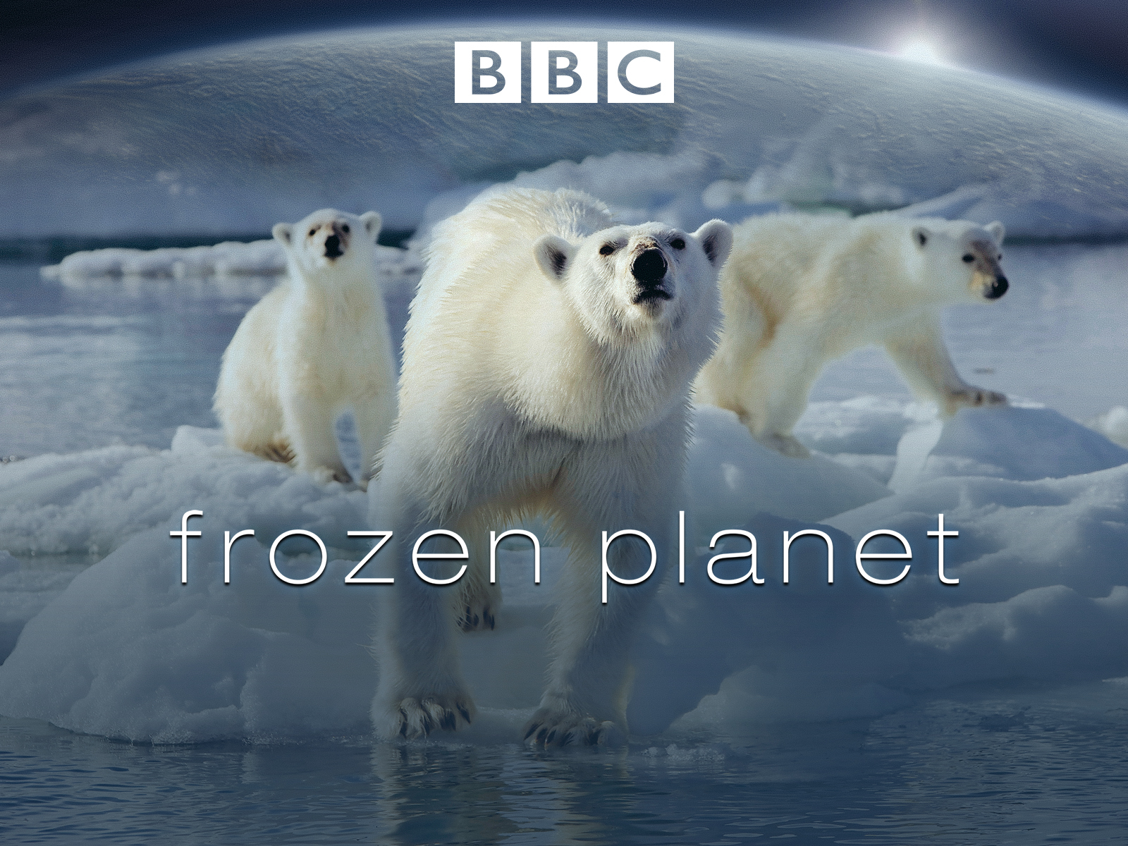 Prime Video: Frozen Planet - Season 1