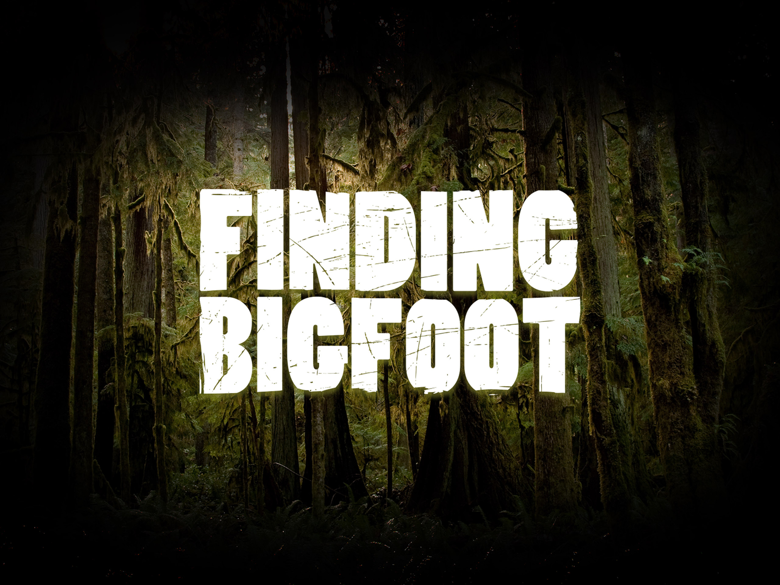 Prime Video: Finding Bigfoot Season 10