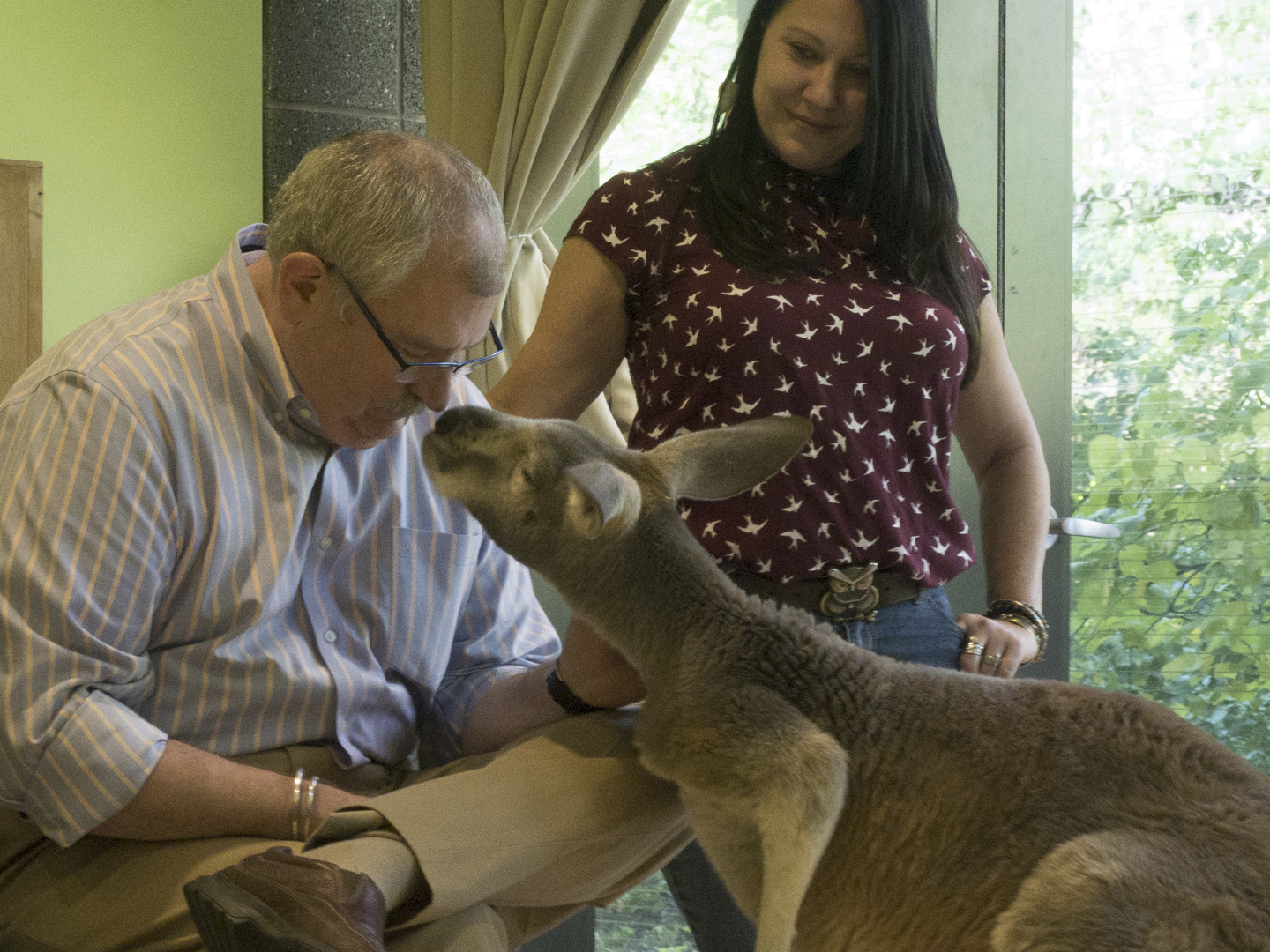 Prime Video: The Zoo - Season 2