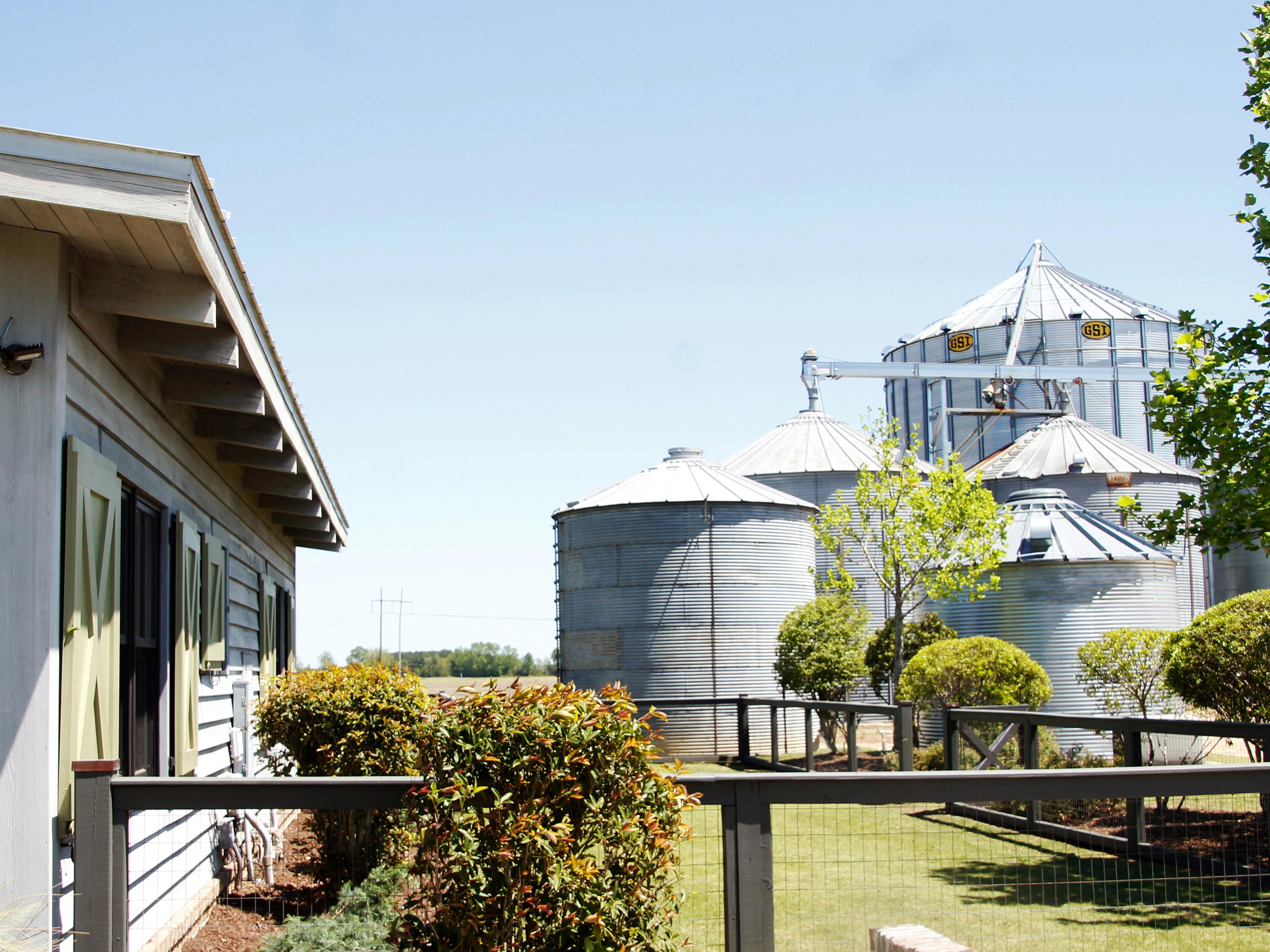 Prime Video: Where We Call Home - Season 2