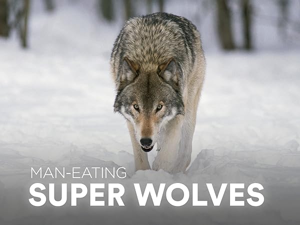 Prime Video: Man-Eating Super Wolves - Season 1