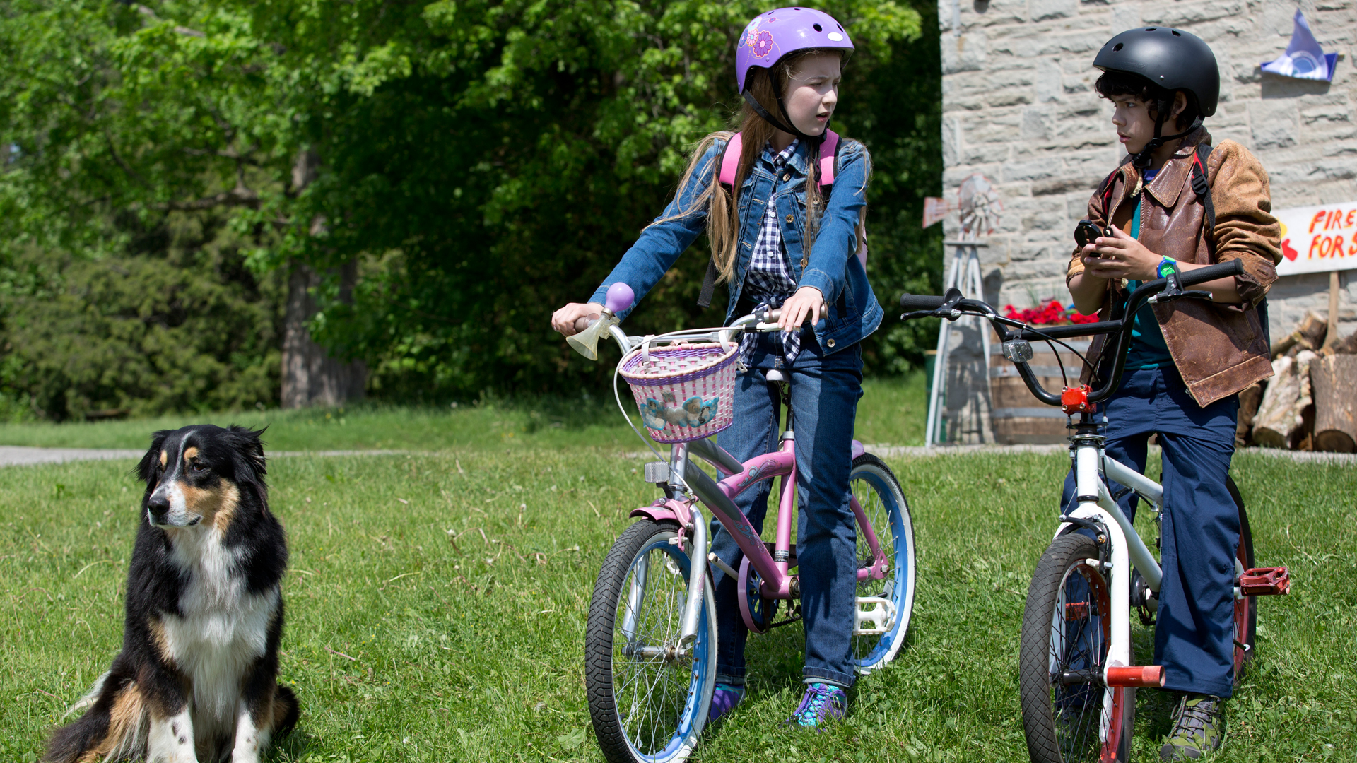 Prime Video: Bark Ranger: El Perro Guardabosques