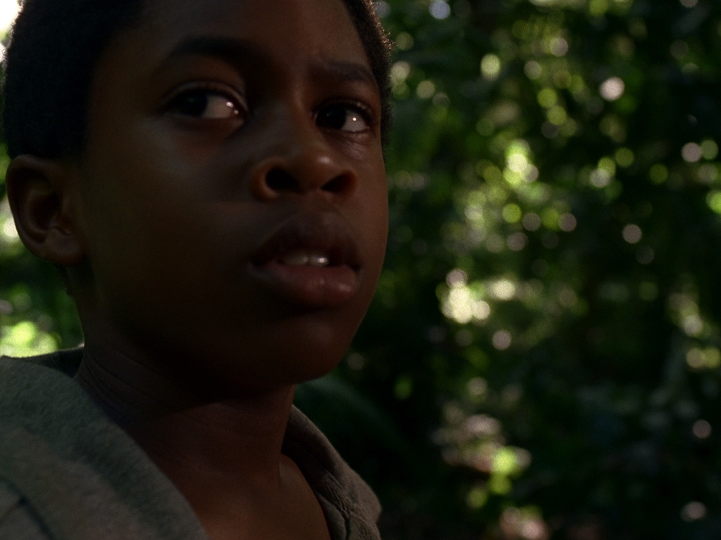 Prime Video: Lost Season 1