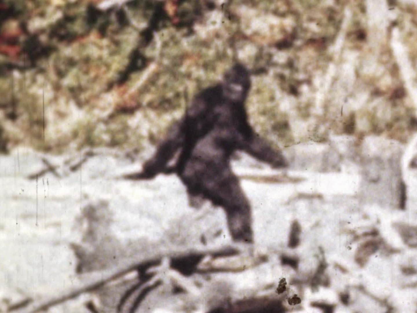 Prime Video: MonsterQuest - Season 1