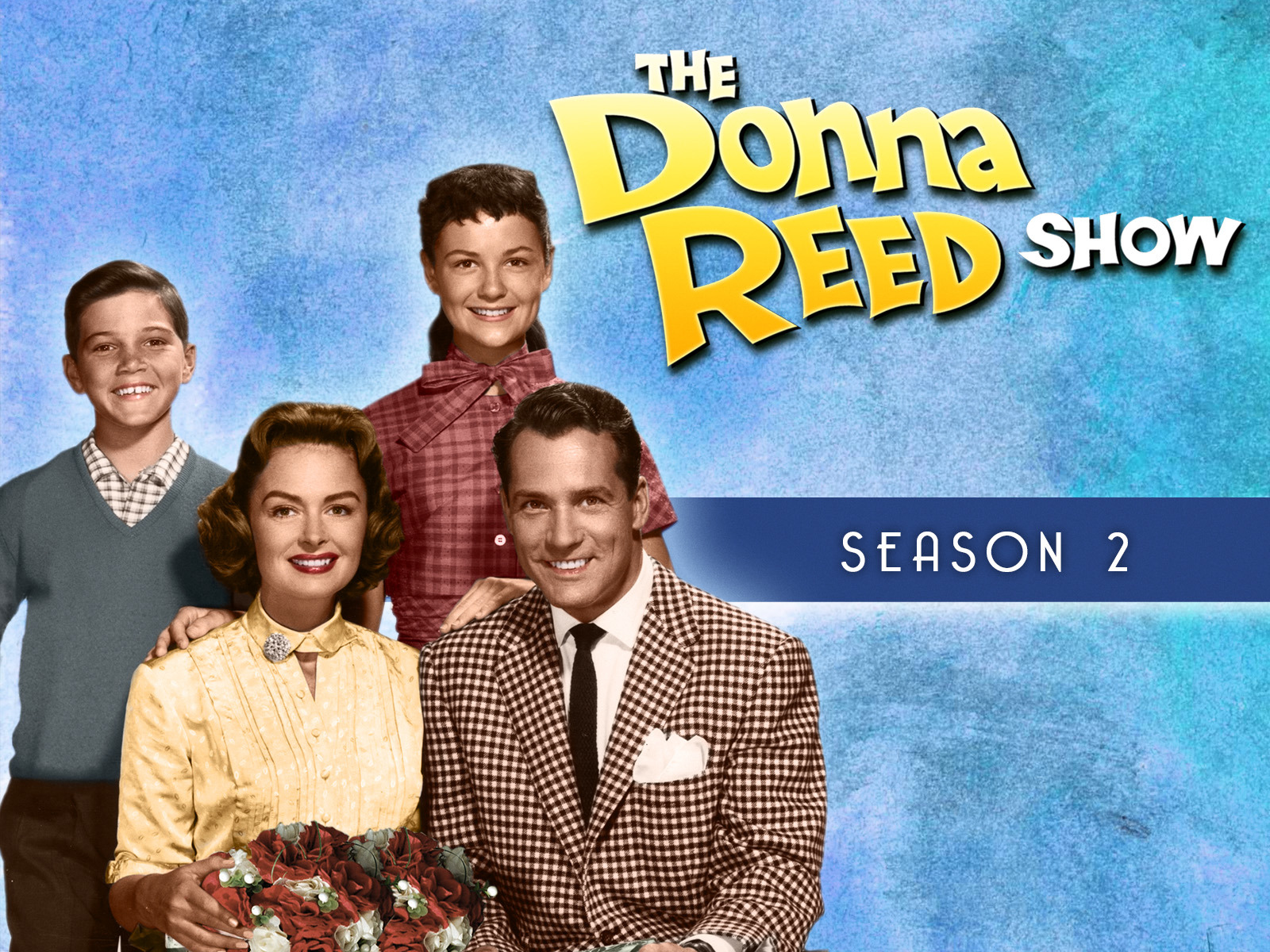Prime Video: The Donna Reed Show