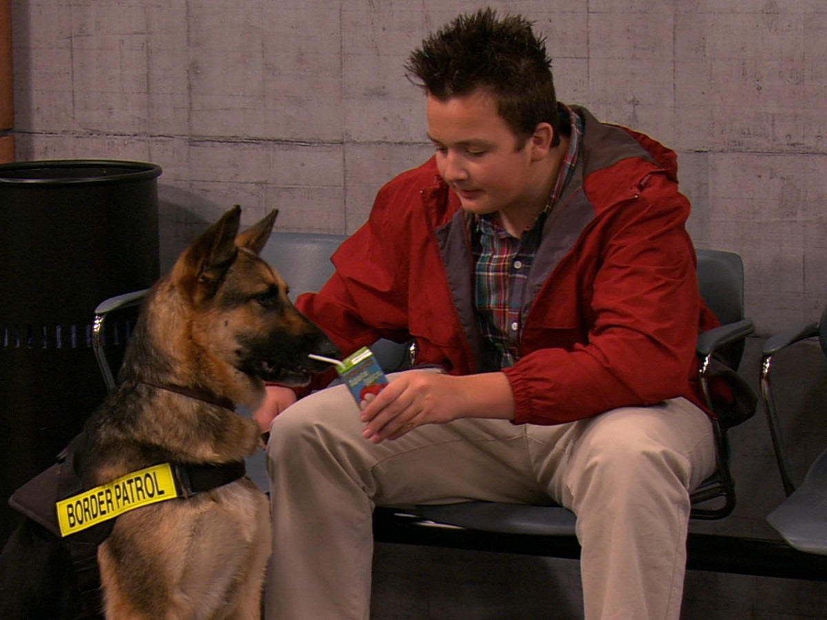 Prime Video: iCarly Season 4