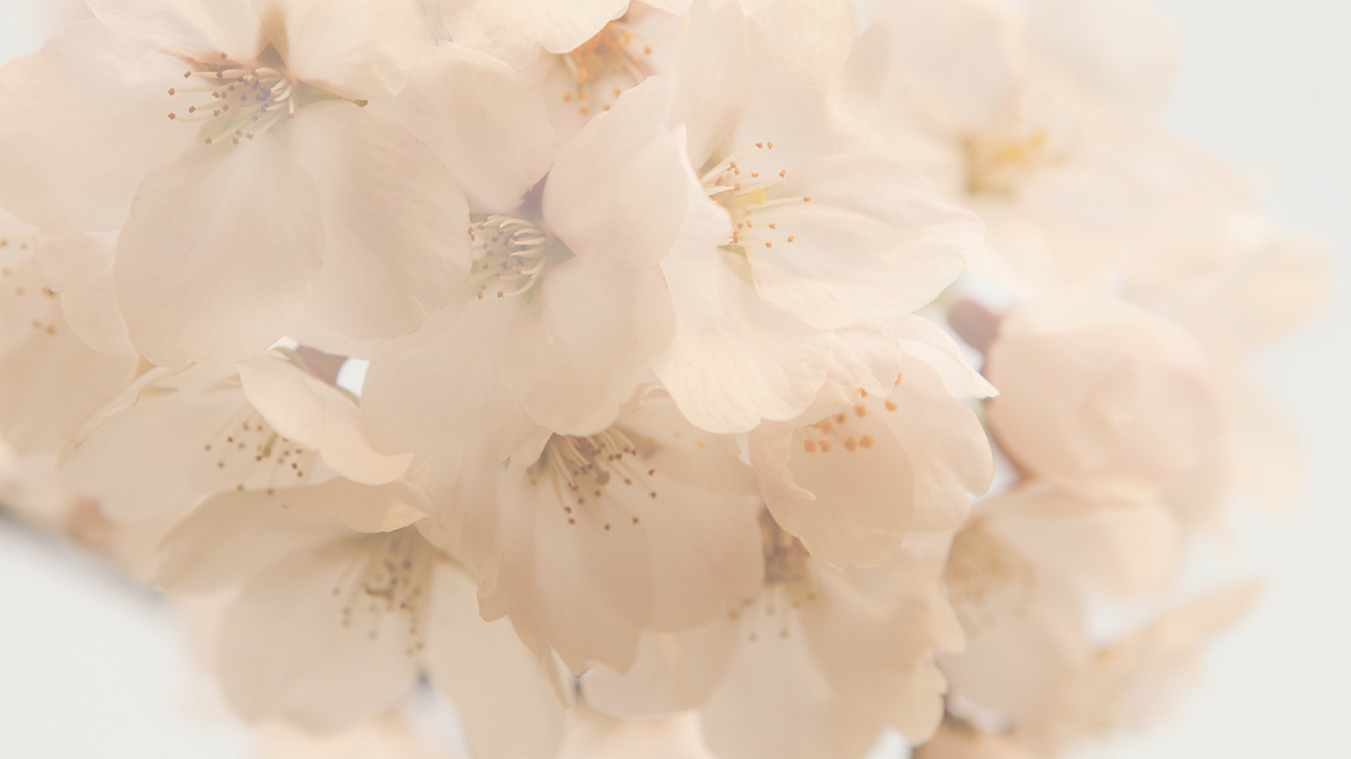 Amazon.com: Changed Forever: Grieving The Death of Someone You Love ...