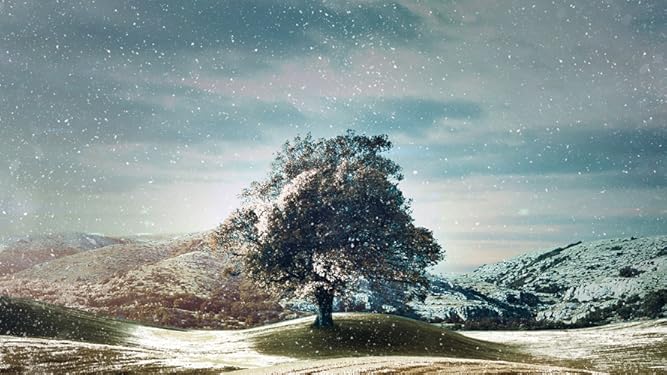 Watch Who Do You Think You Are? - Season 5 | Prime Video