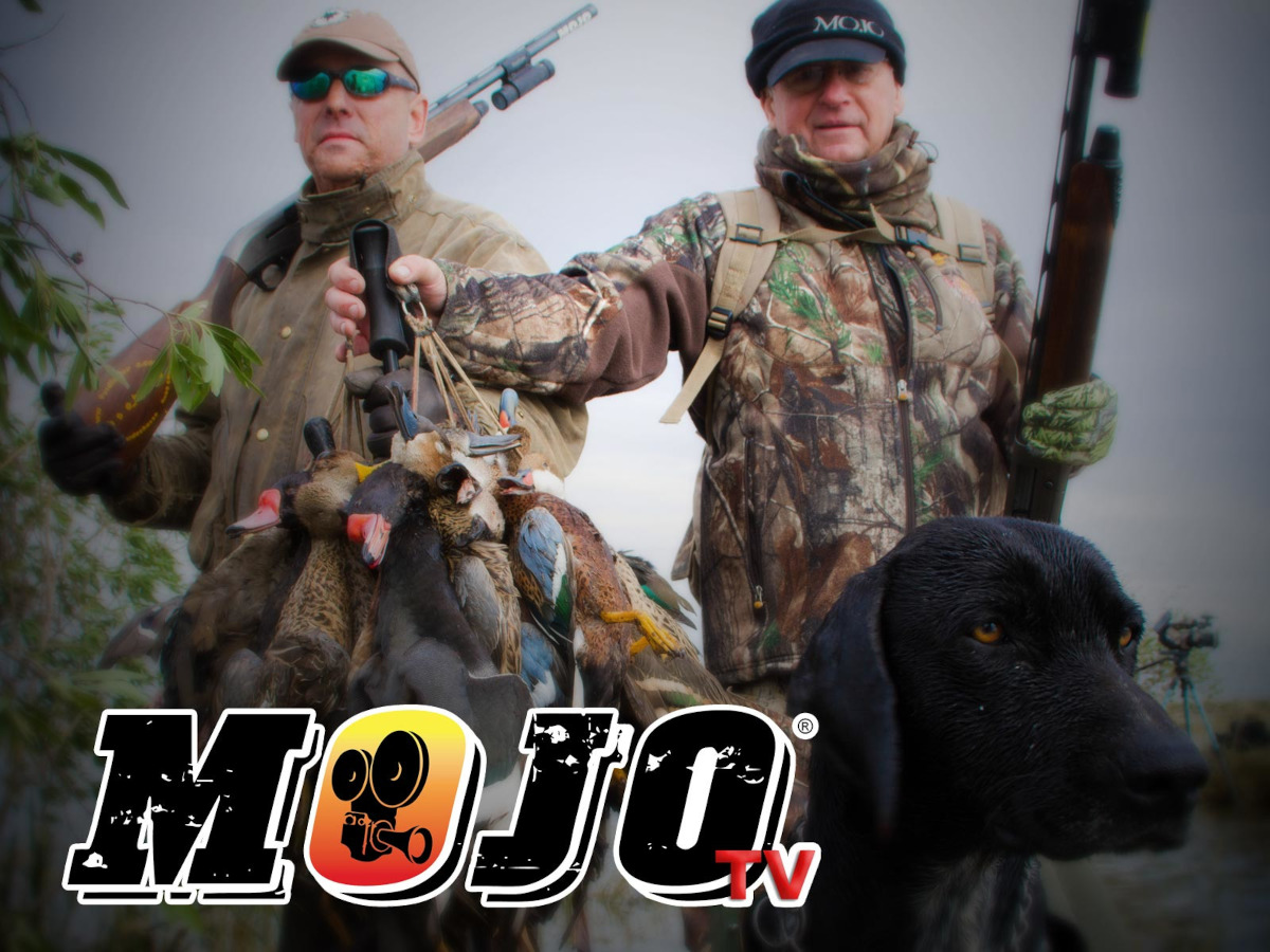 Prime Video: Mojo TV - Season 7