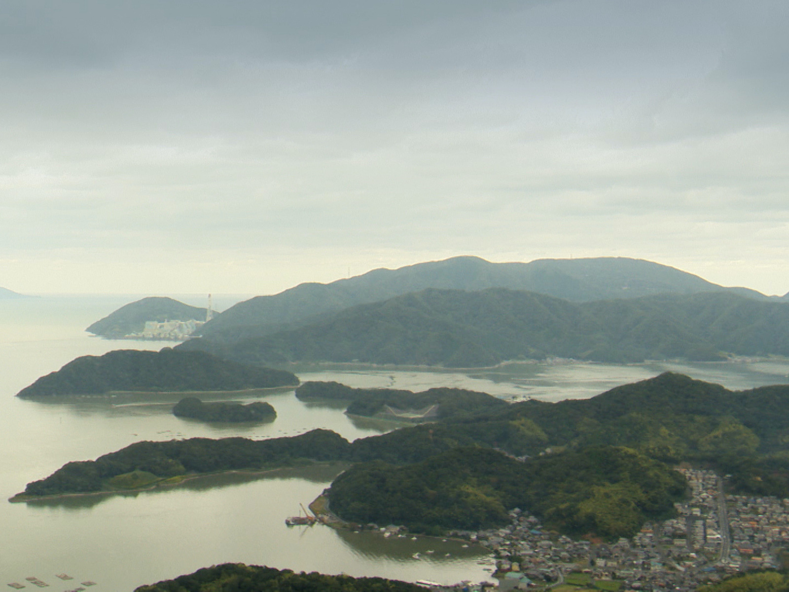 Prime Video: The Travel Bug