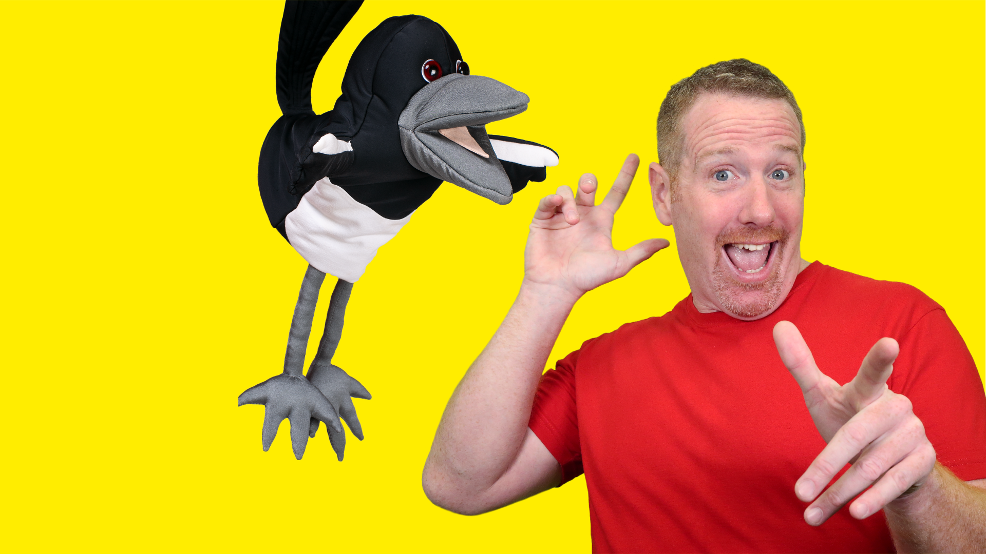 Prime Video: Steve and Maggie - Silly Songs and Stories (Vol. 5)