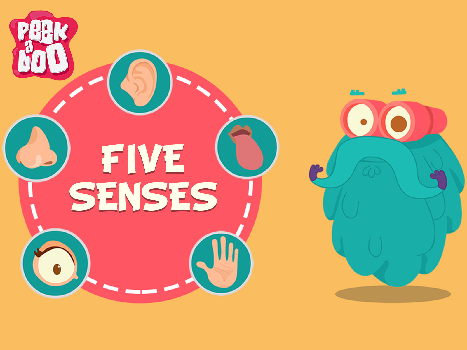 Prime Video: Dr. Binocs Show Educational Videos For Kids