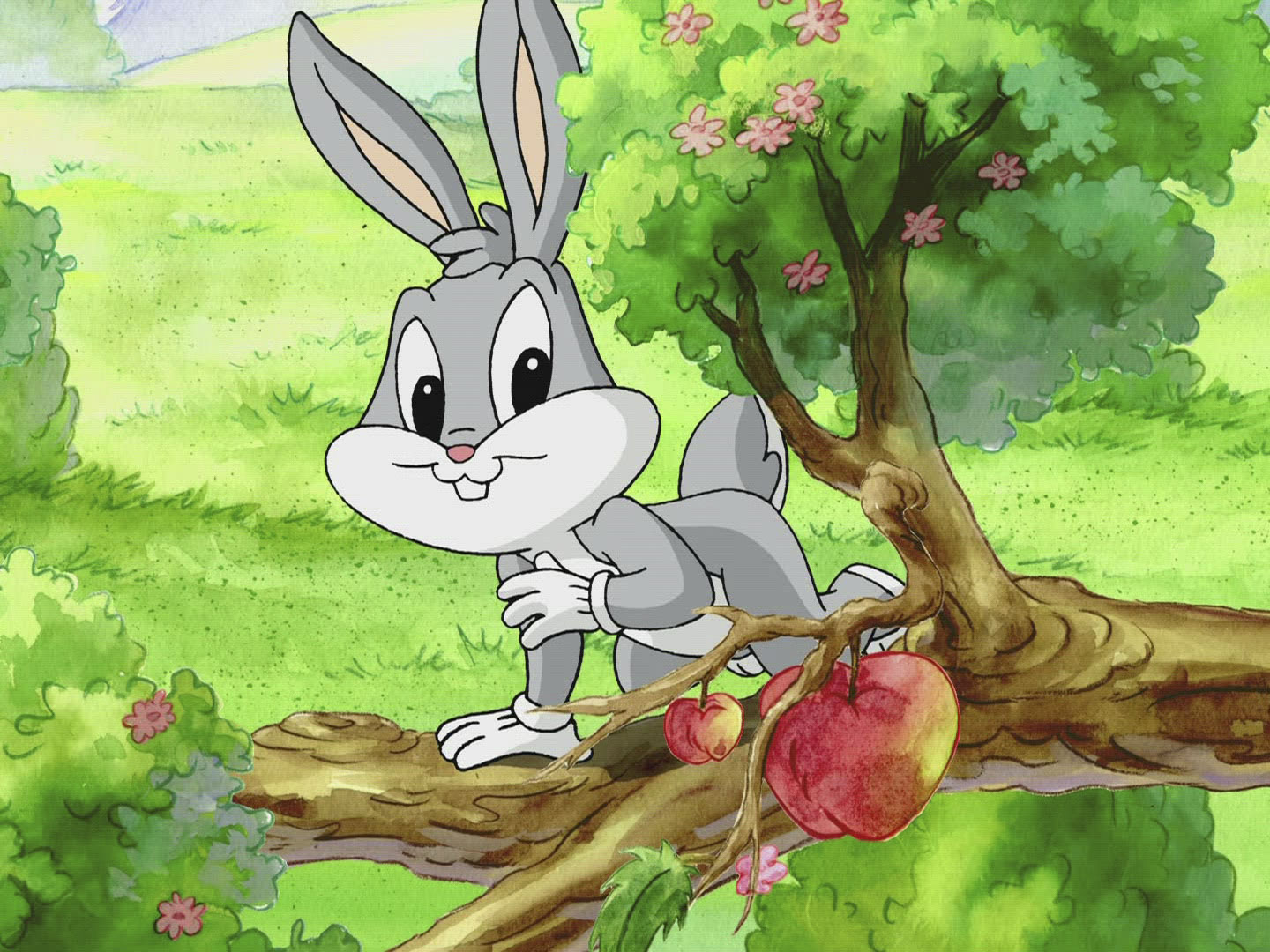Prime Video: Baby Looney Tunes - Season 1