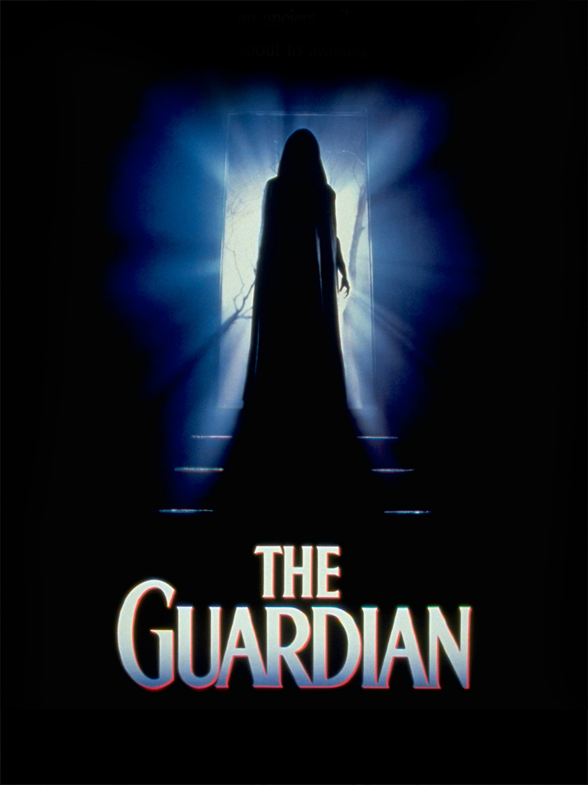 Prime Video: The Guardian