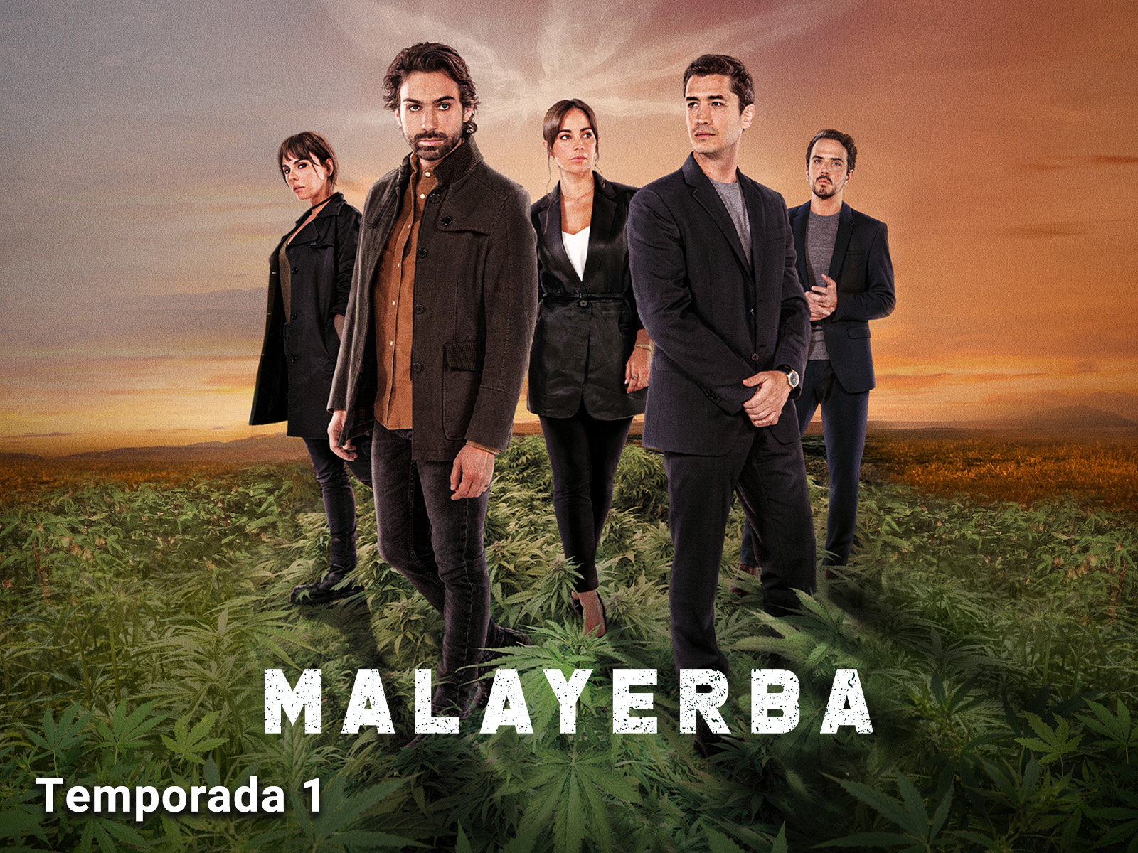 Prime Video: MalaYerba season-1