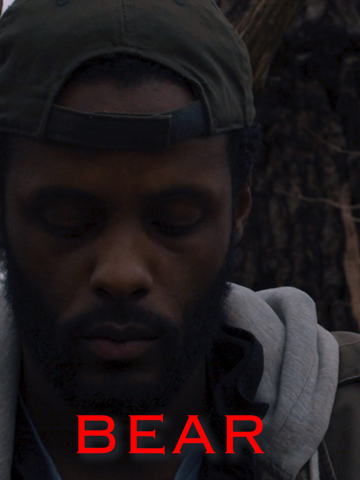Prime Video: Bear