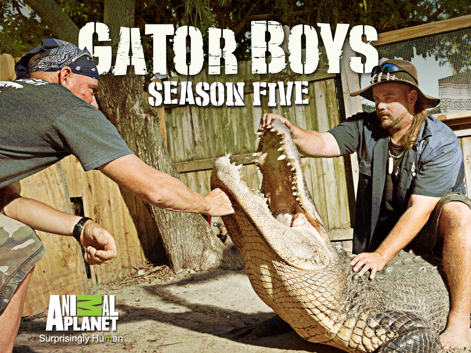 Gator Boys Cast Volunteers