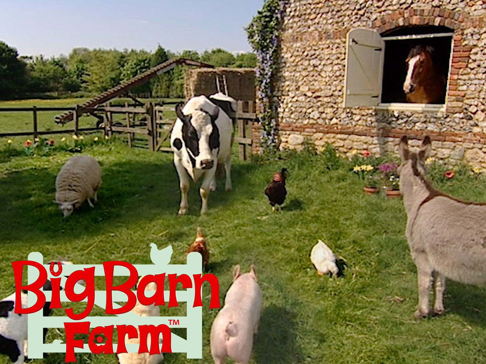 Prime Video: Big Barn Farm