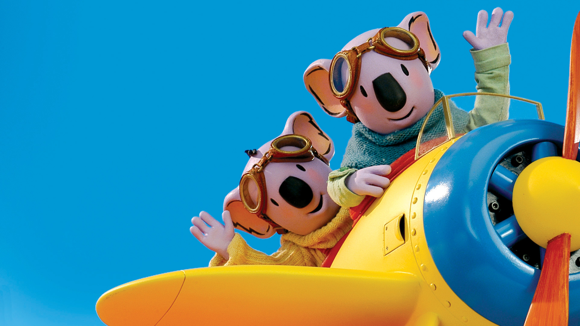 Prime Video: The Koala Brothers
