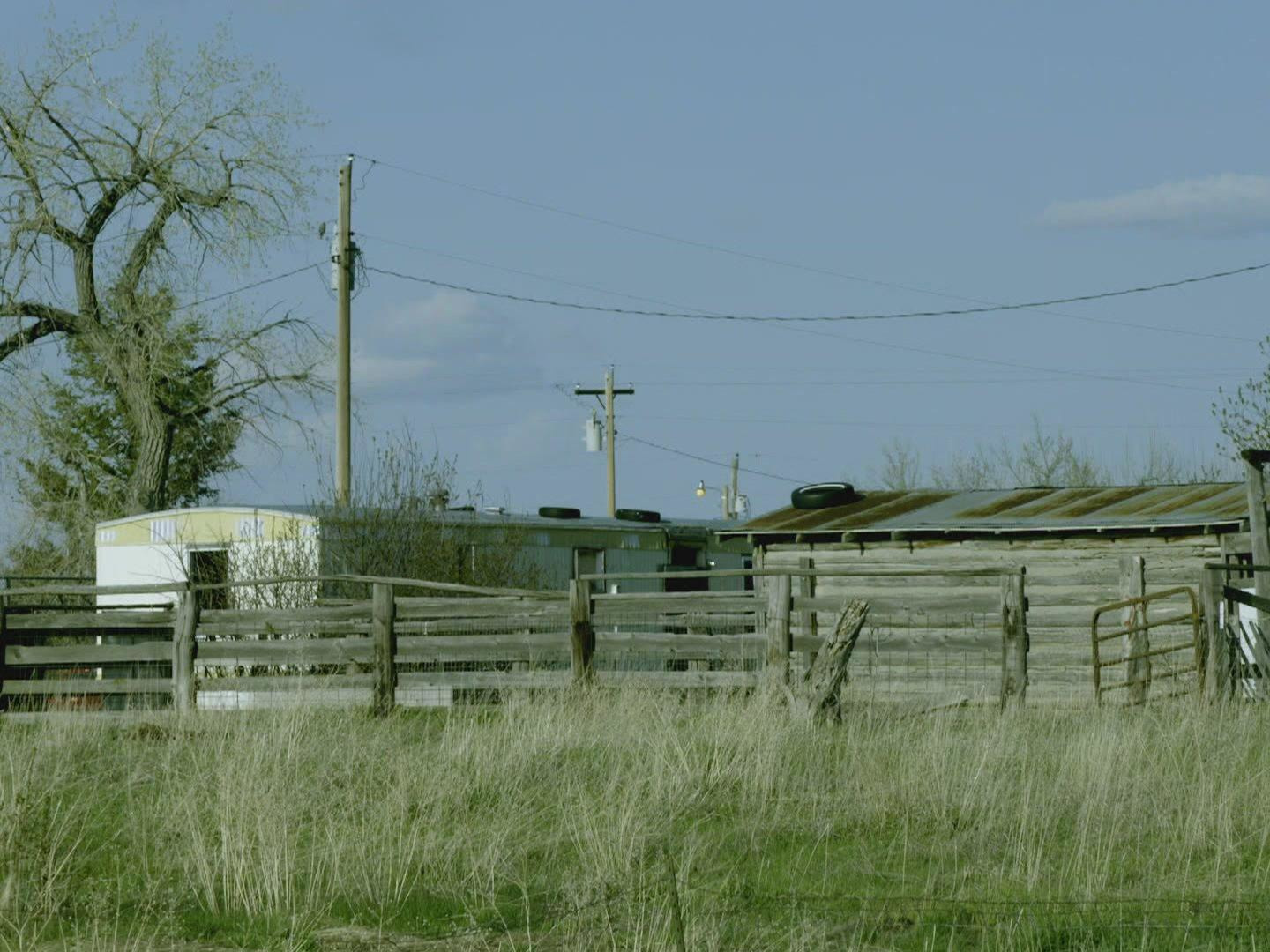 Prime Video: Snapped Season 24