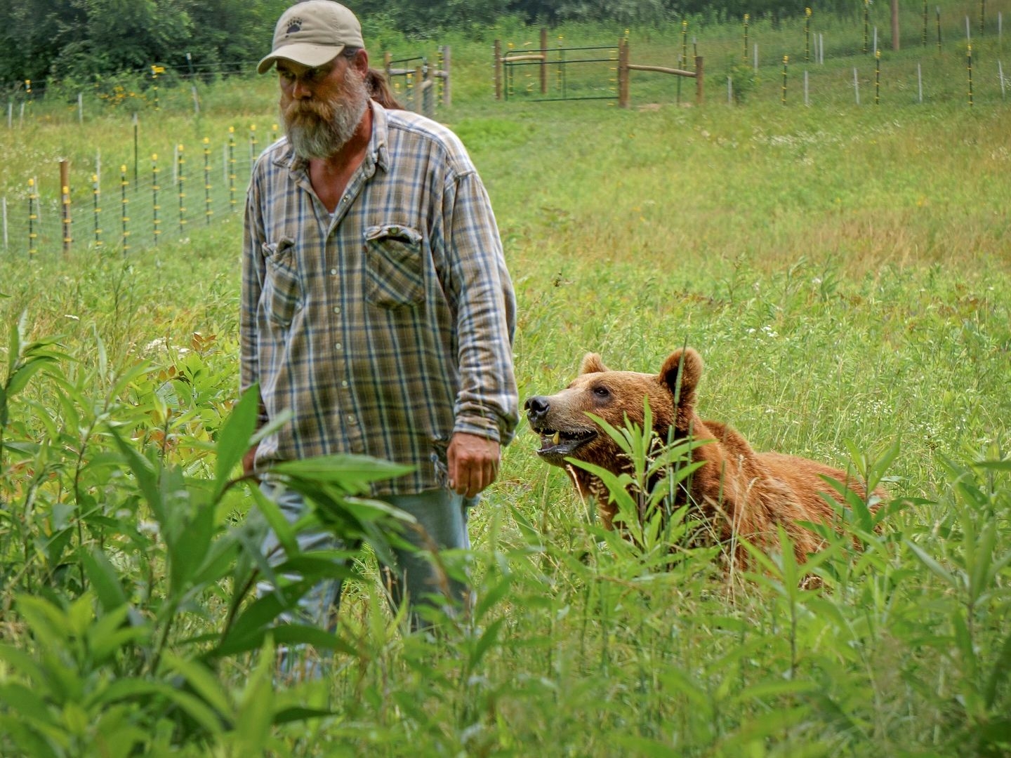 Prime Video: Project Grizzly - Season 1