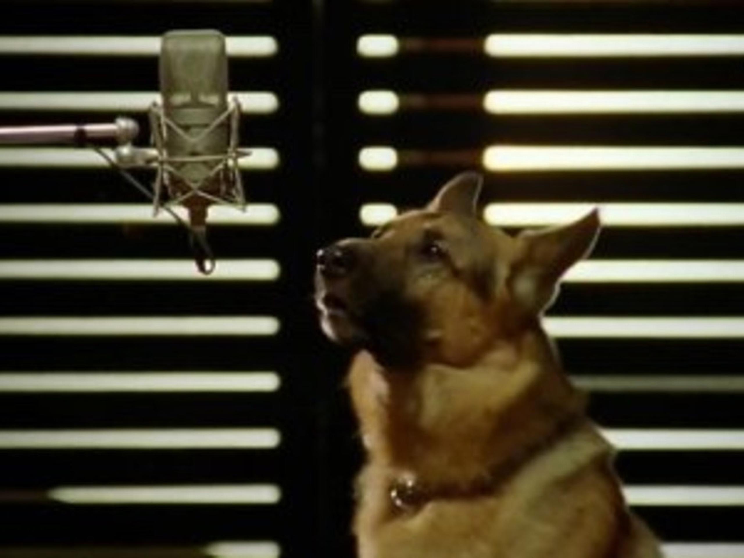 Prime Video: Rex - Saison 7