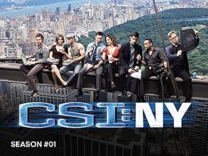 Prime Video: CSI: New York Season 1
