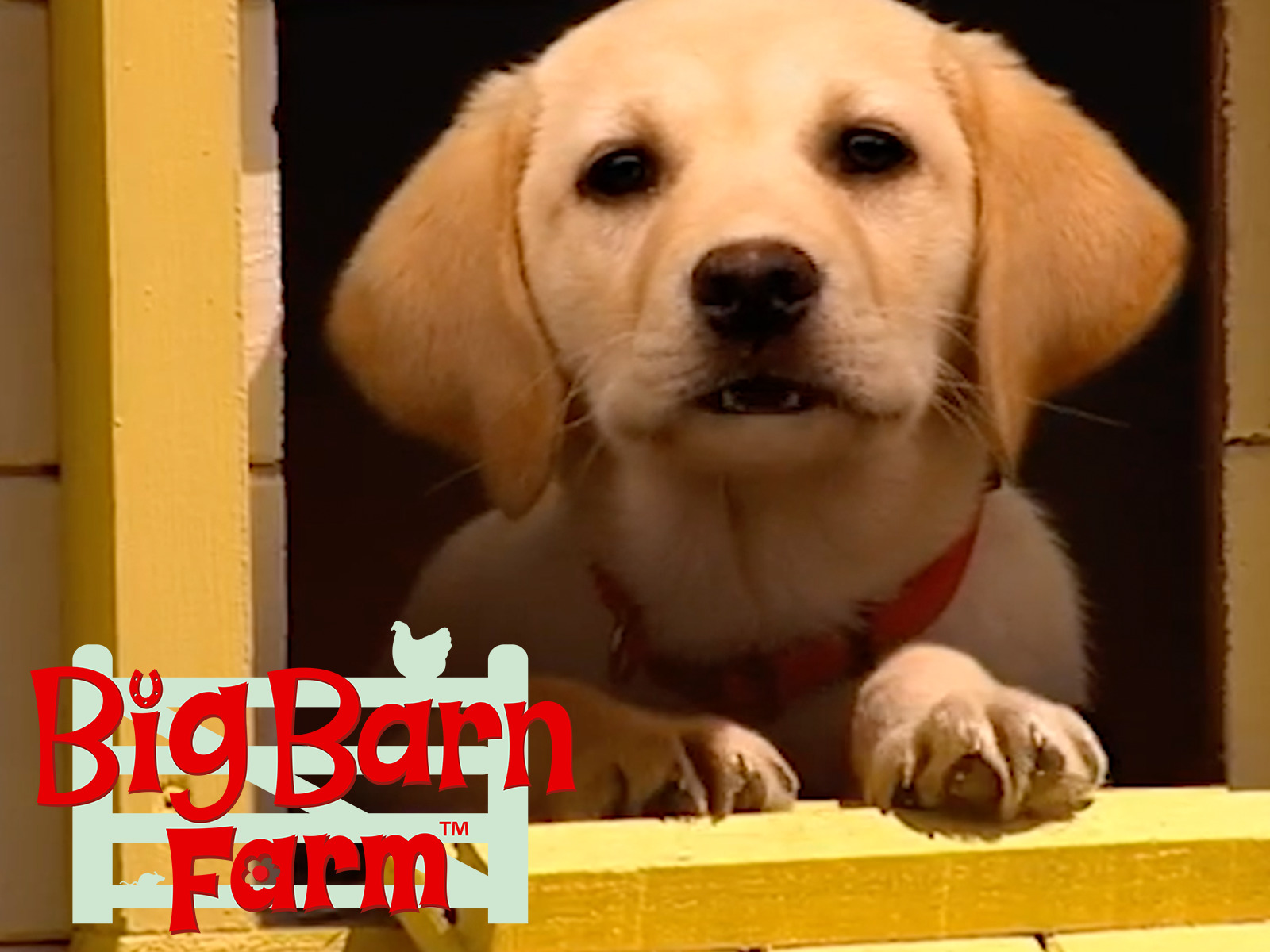 Prime Video: Big Barn Farm