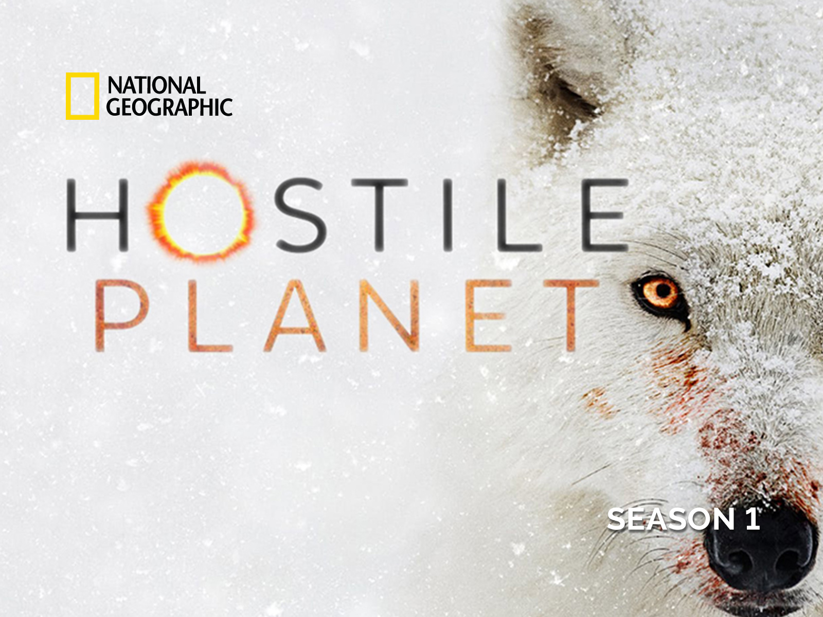 Prime Video: Hostile Planet - Season 1
