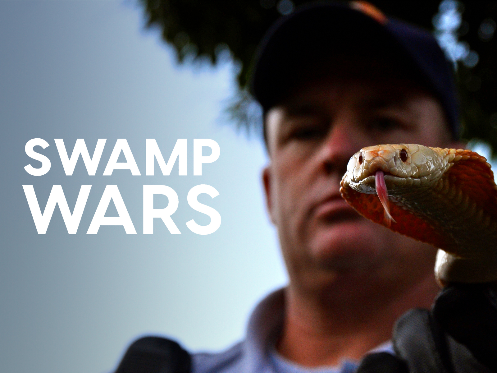 Prime Video: Swamp Wars - Season 1