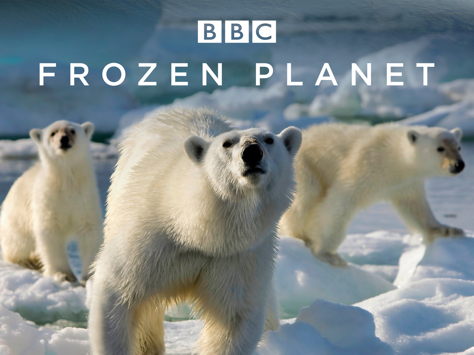Prime Video: Frozen Planet - Season 1