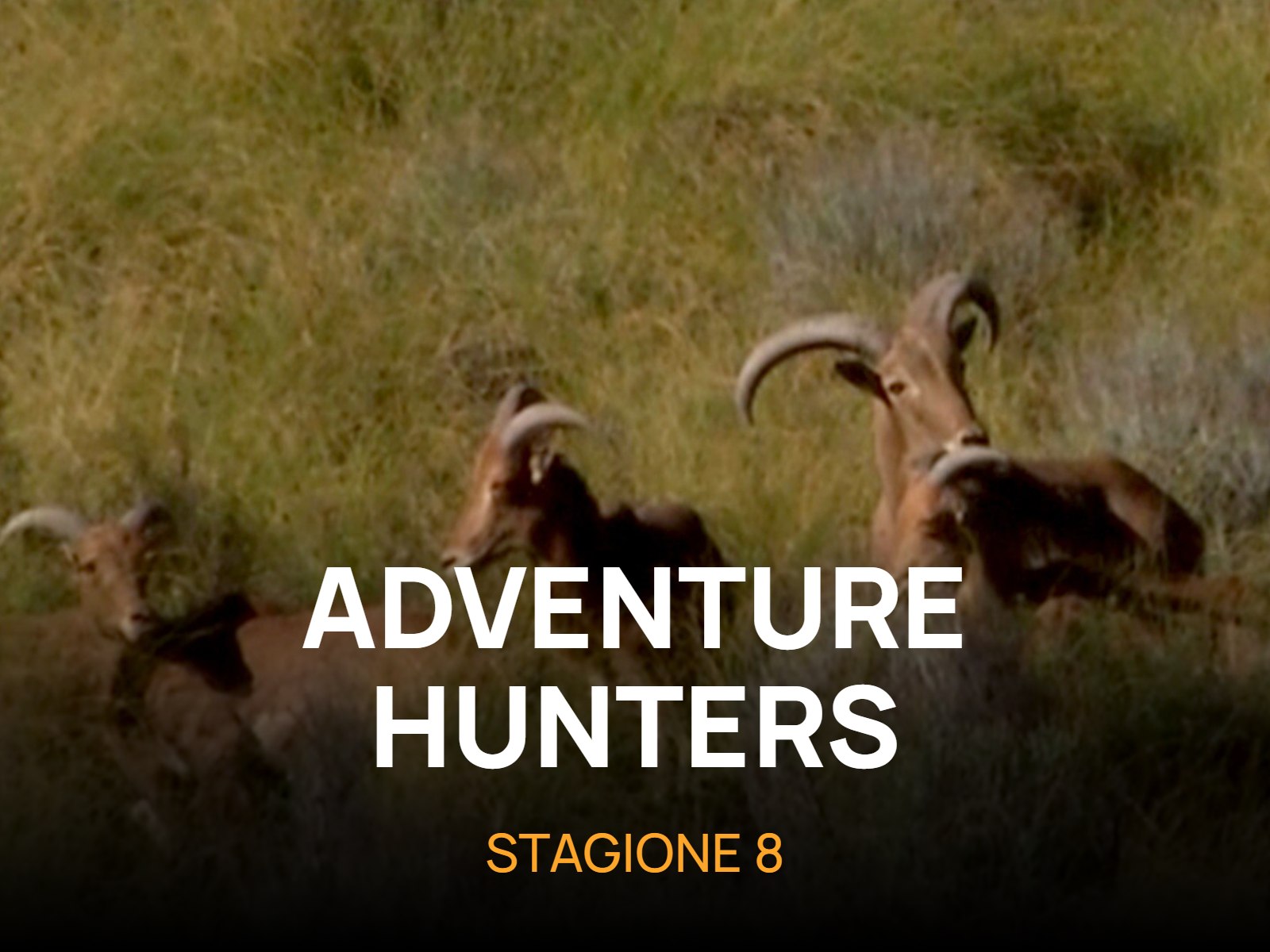 Prime Video: Adventure Hunters