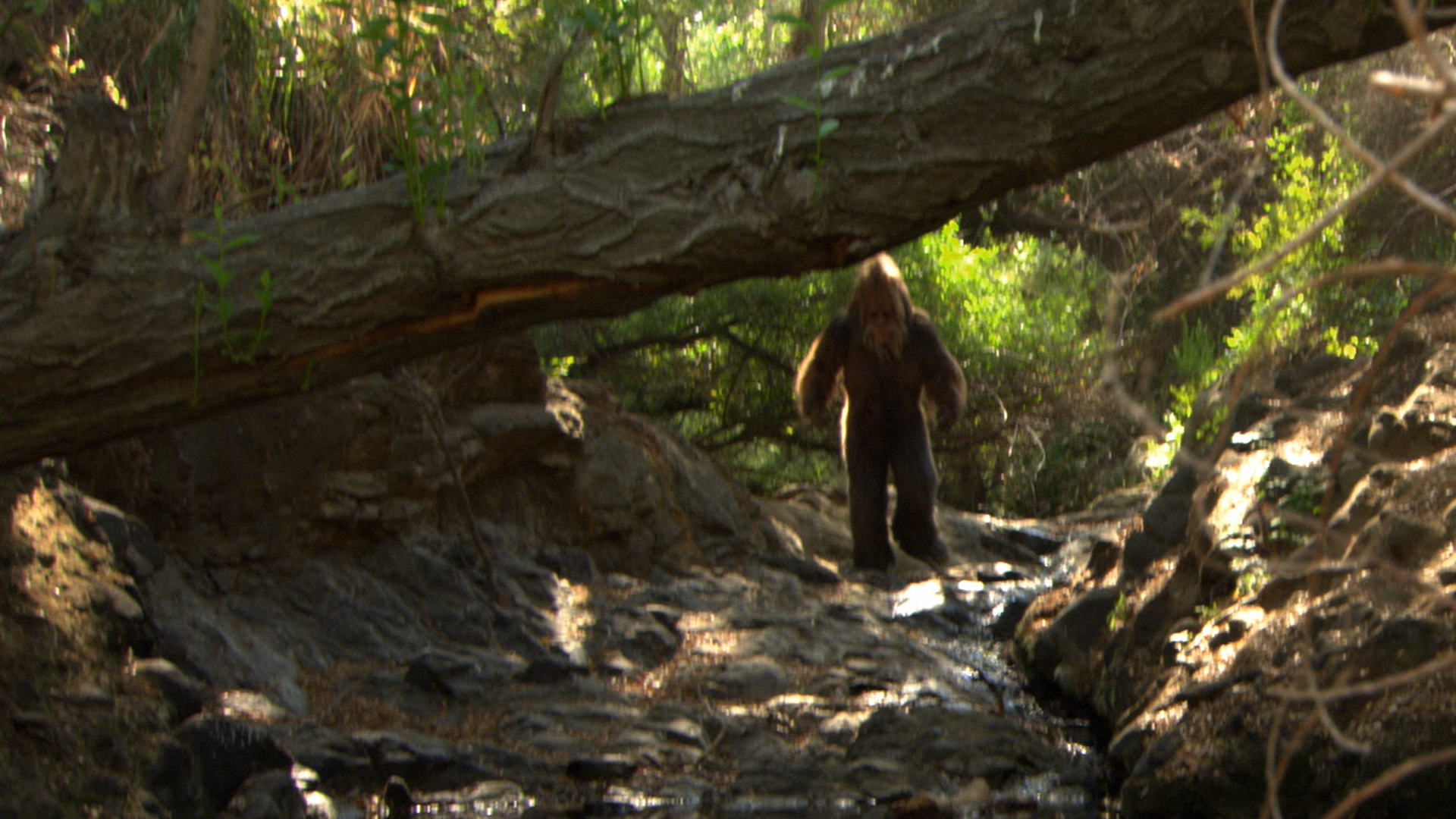 Watch Bigfoot | Prime Video