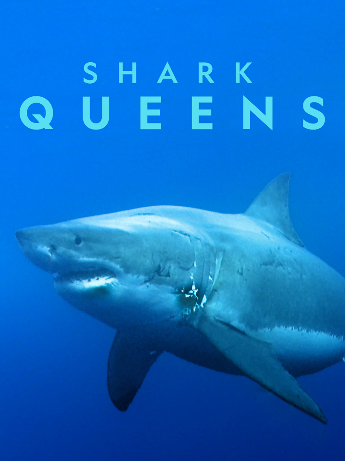 Prime Video: Shark Queens