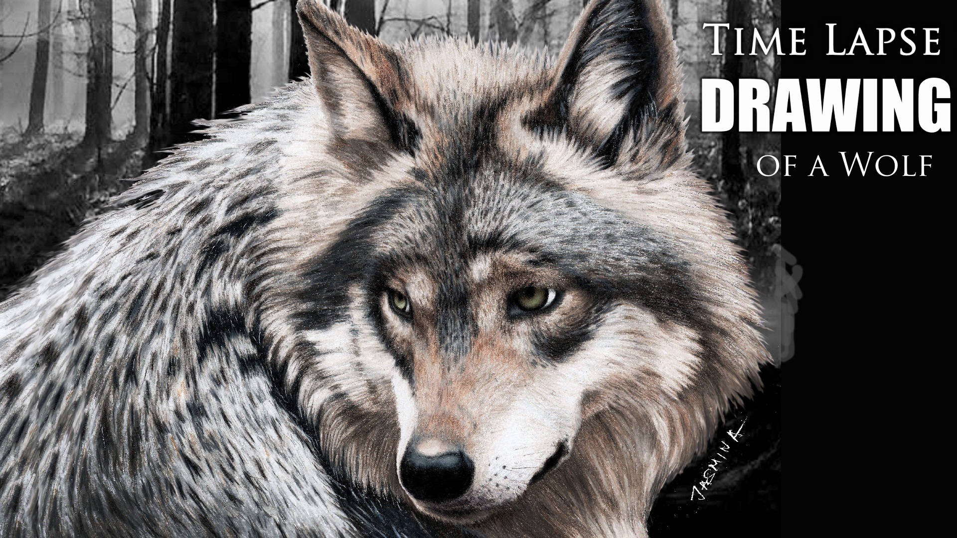 Illustrated Wolf Wallpaper Hd