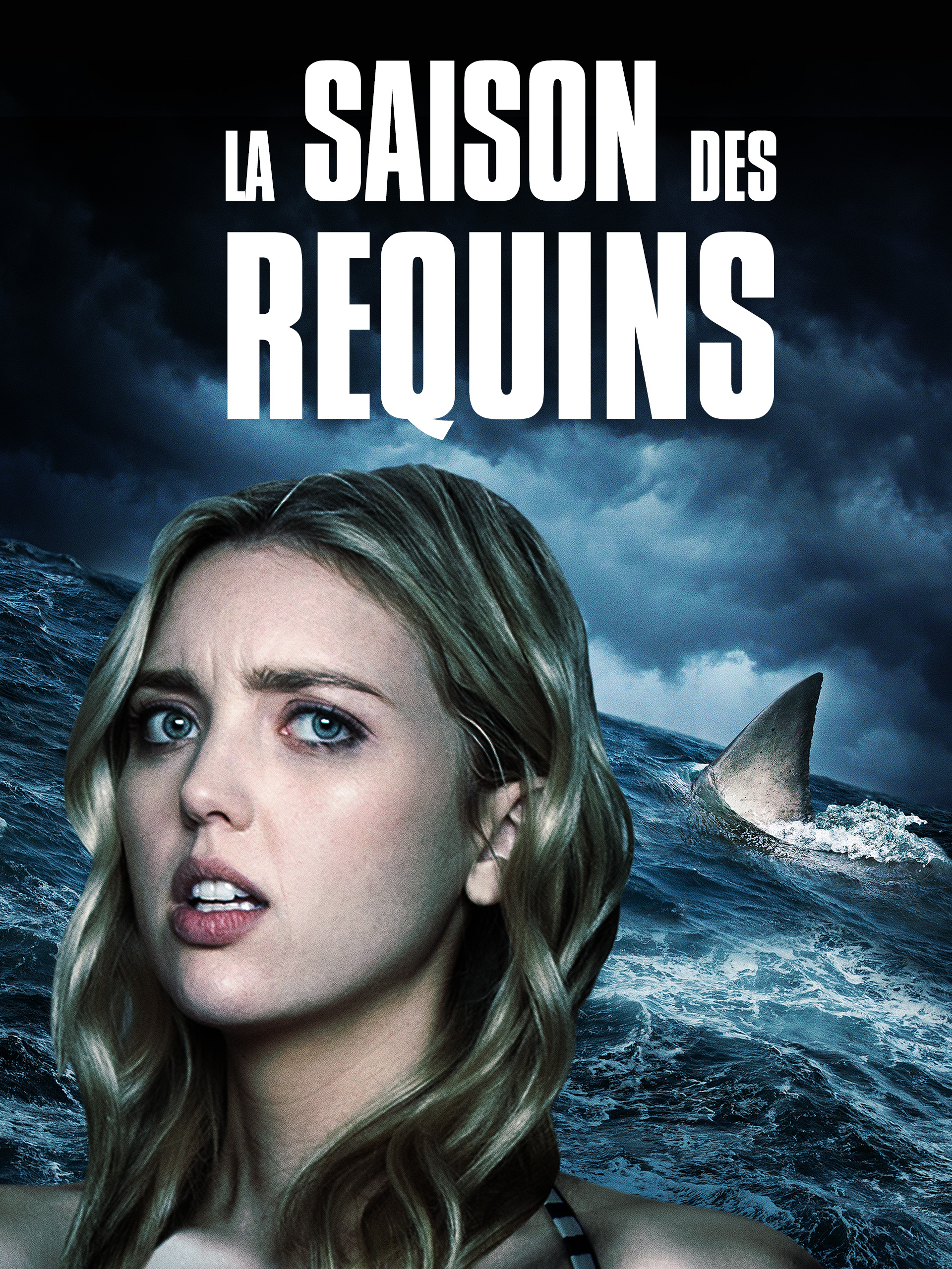 Prime Video: La saison des requins