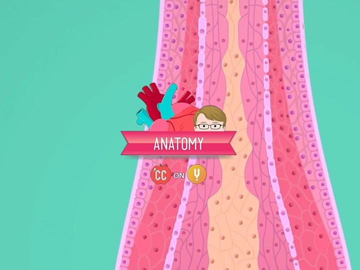 Prime Video: Crash Course: Anatomy & Physiology - Season 1