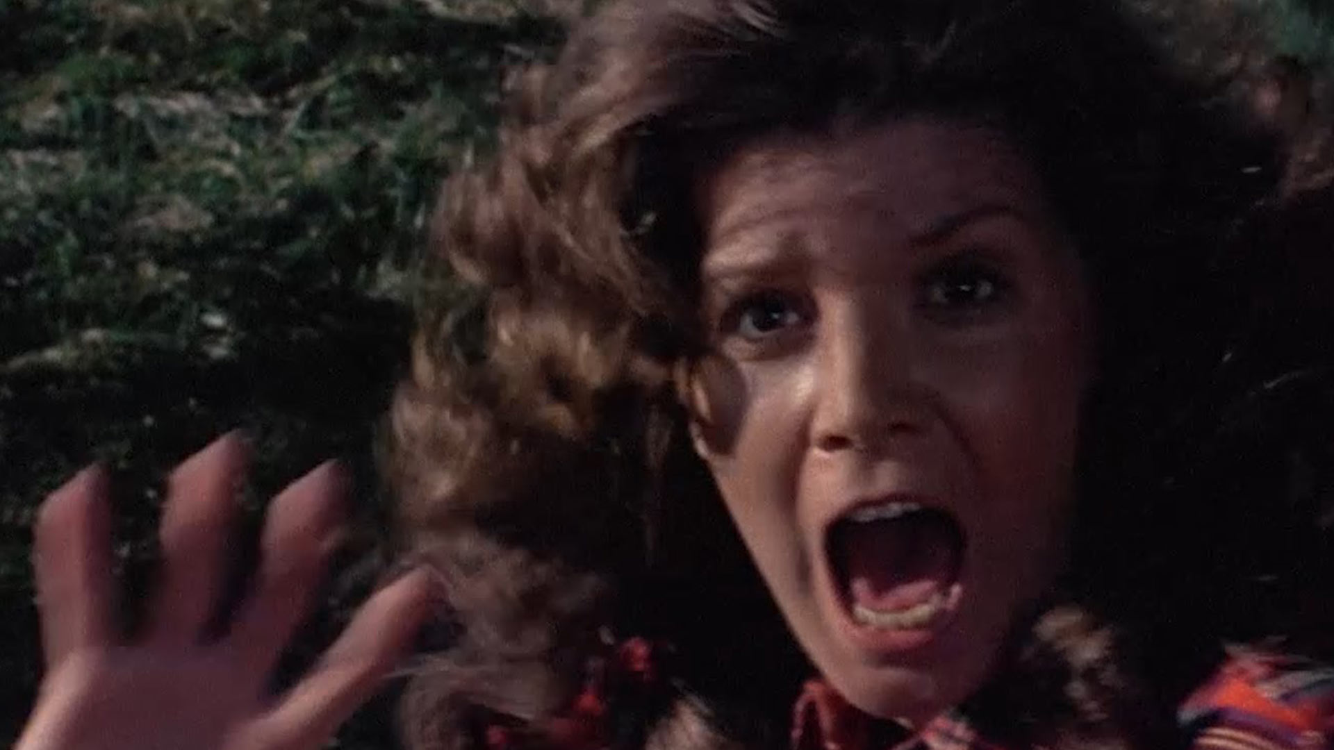 Kathy Rickman's Instagram, Twitter & Facebook on IDCrawl