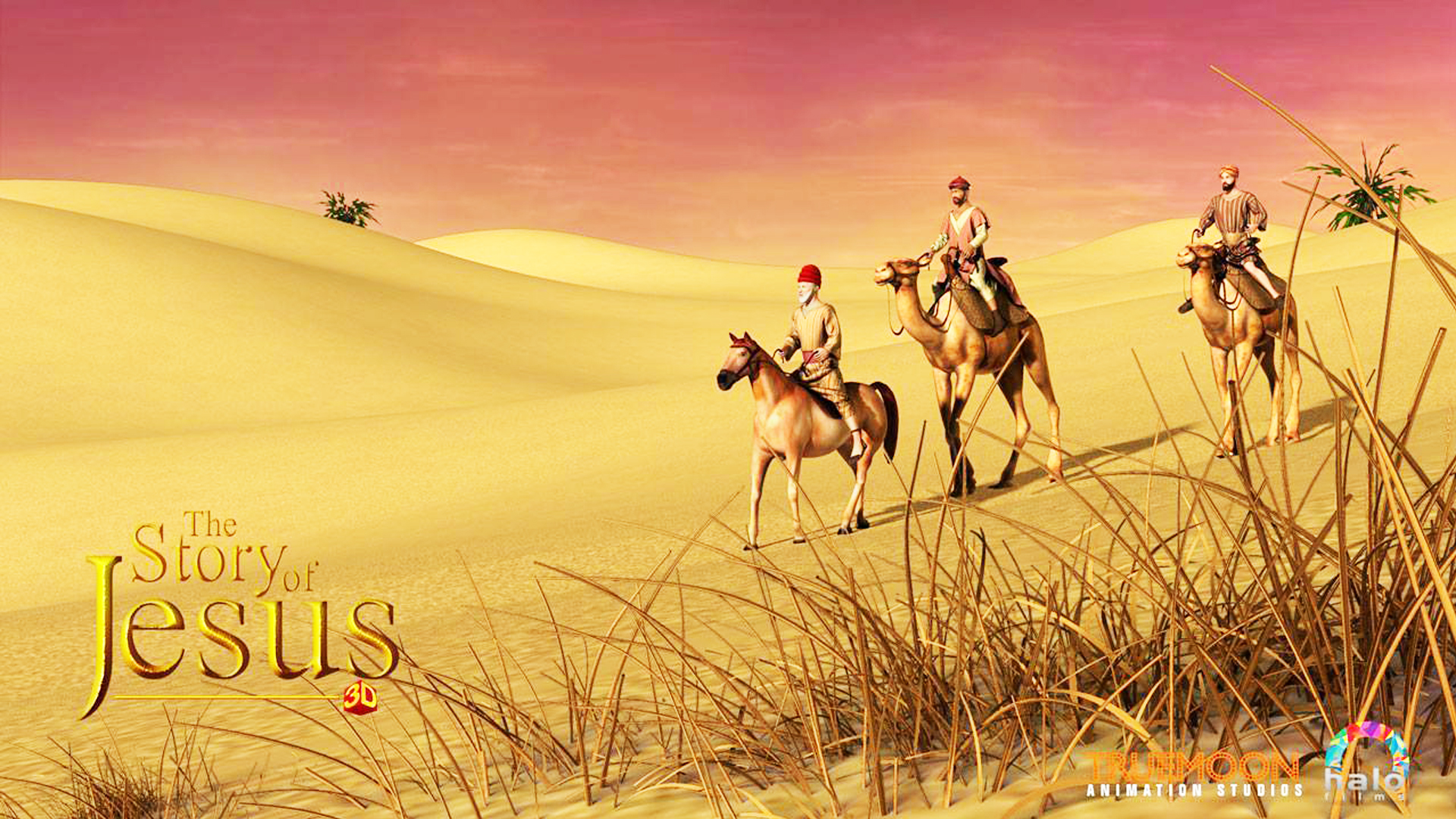 Watch The Story of Jesus | Prime Video