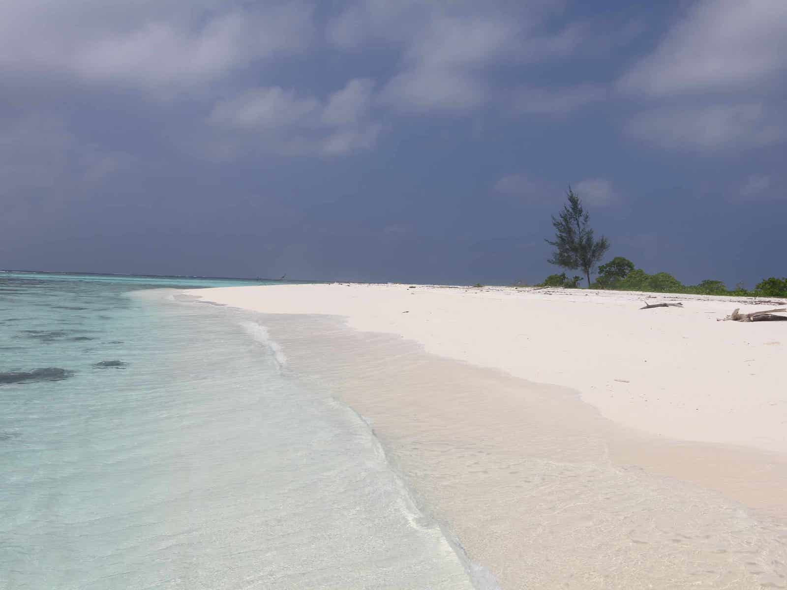 Prime Video: The Travel Bug