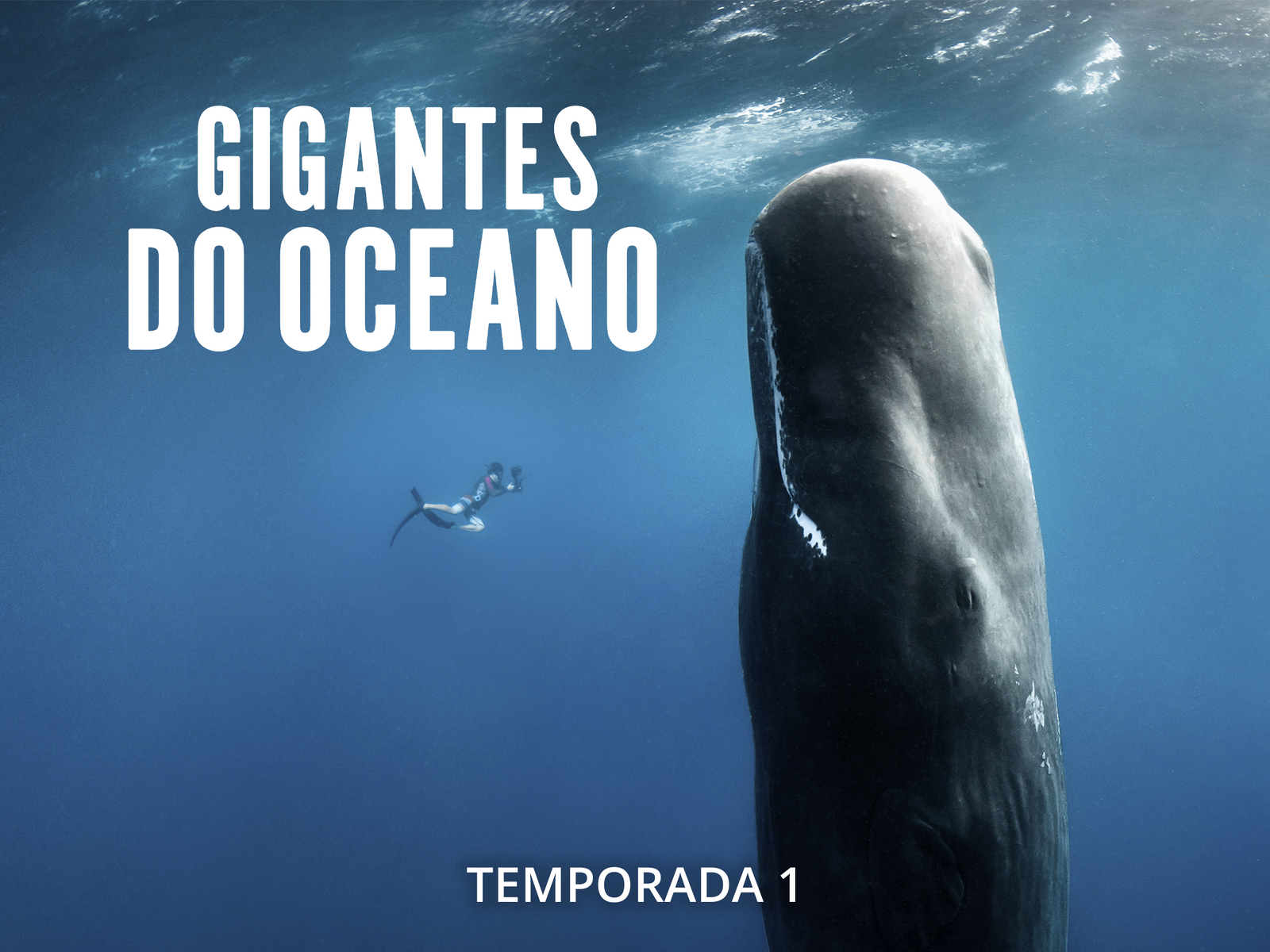 Prime Video: Chasing Ocean Giants - Season 1