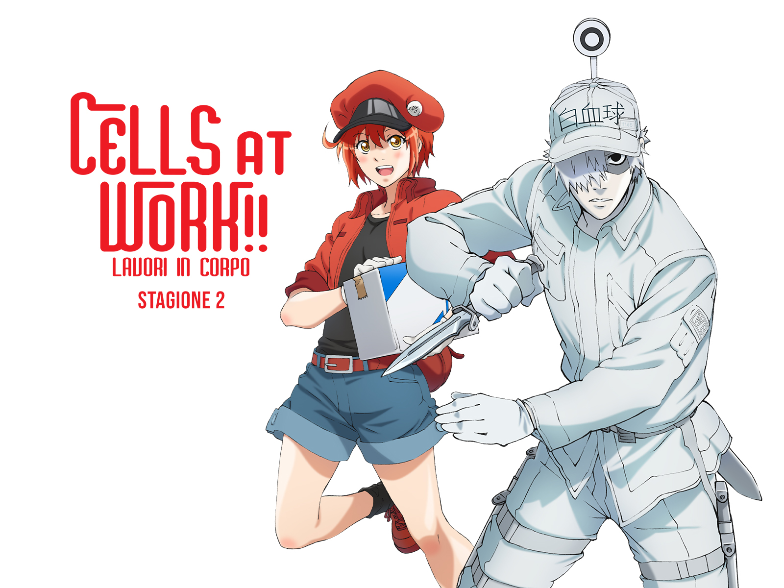 Prime Video: Cells at Work!! - Lavori in corpo - Stagione 2