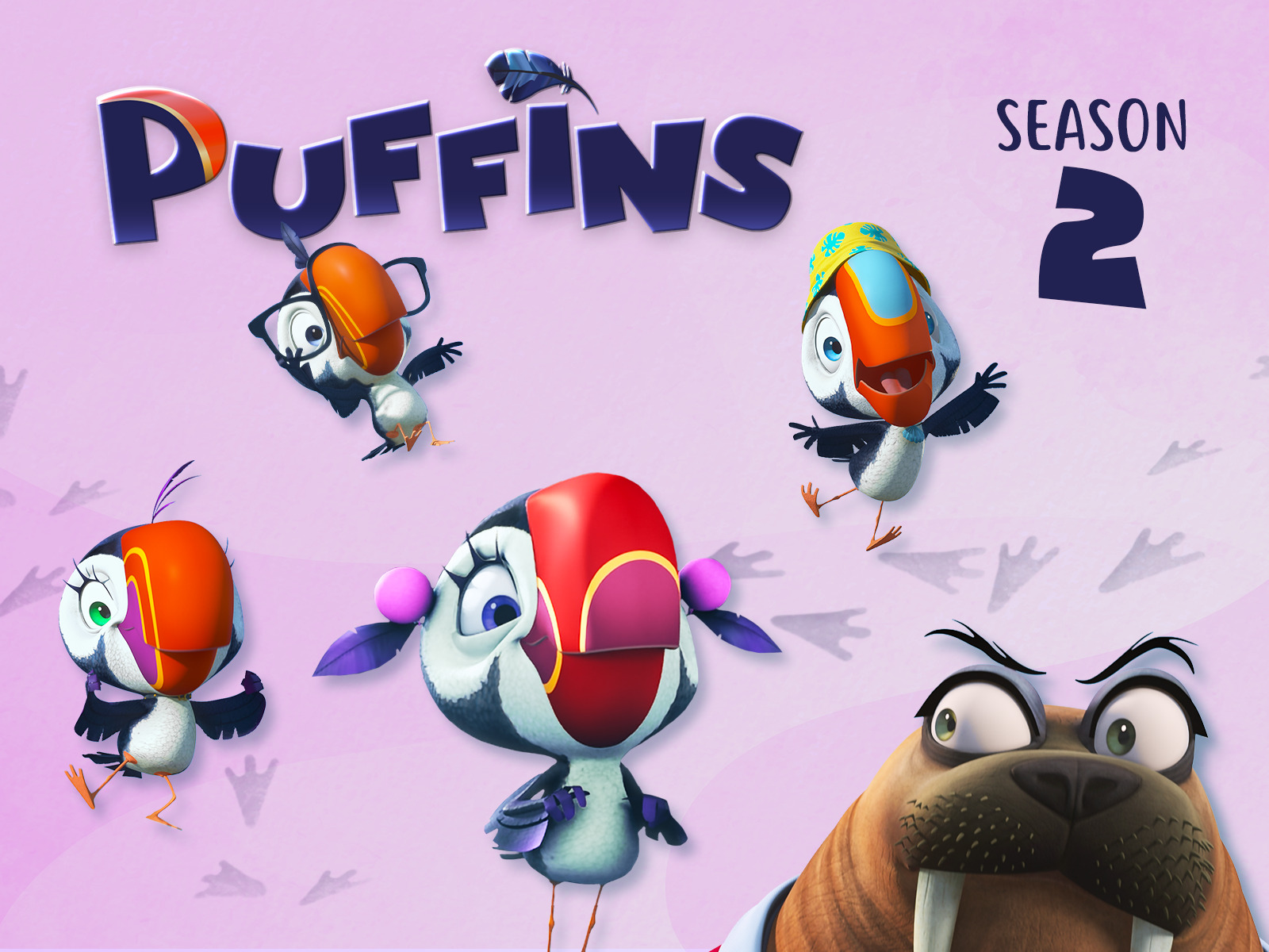 Prime Video: Clip: Puffins