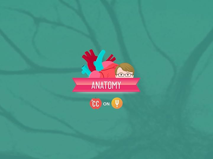 Prime Video: Crash Course: Anatomy & Physiology - Season 1